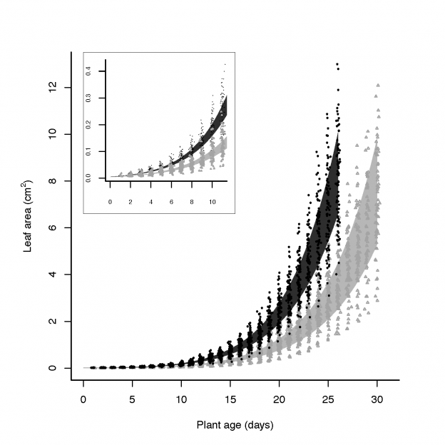 Simple growth curves | PlantEcol